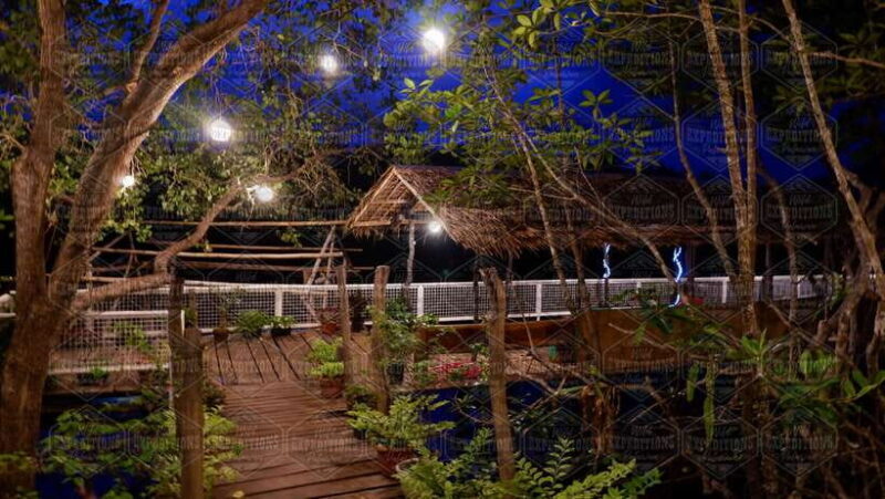 Puerto Princesa: Firefly Watching Paddle Boat Tour & Dinner - A Detailed Look at the Experience