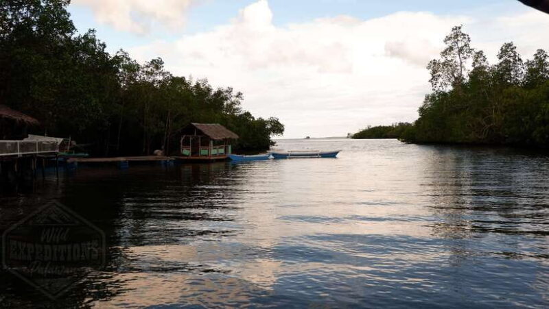 Puerto Princesa: Firefly Watching Paddle Boat Tour & Dinner - Practical Insights and Tips