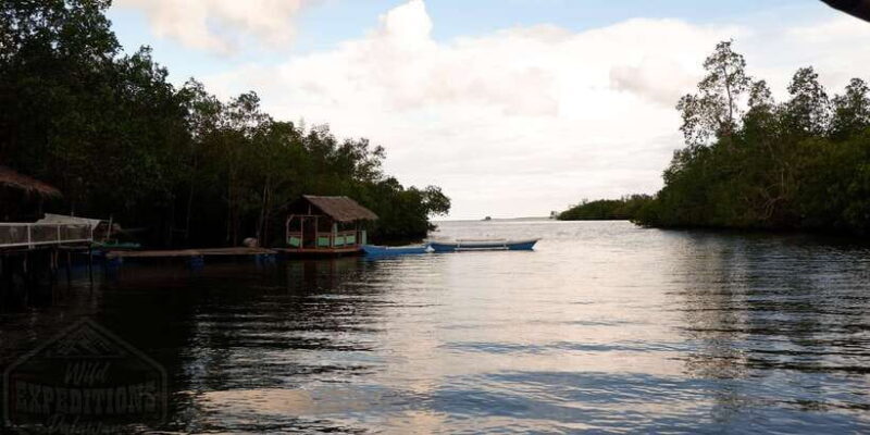 Puerto Princesa: Firefly Watching Paddle Boat Tour & Dinner - FAQs