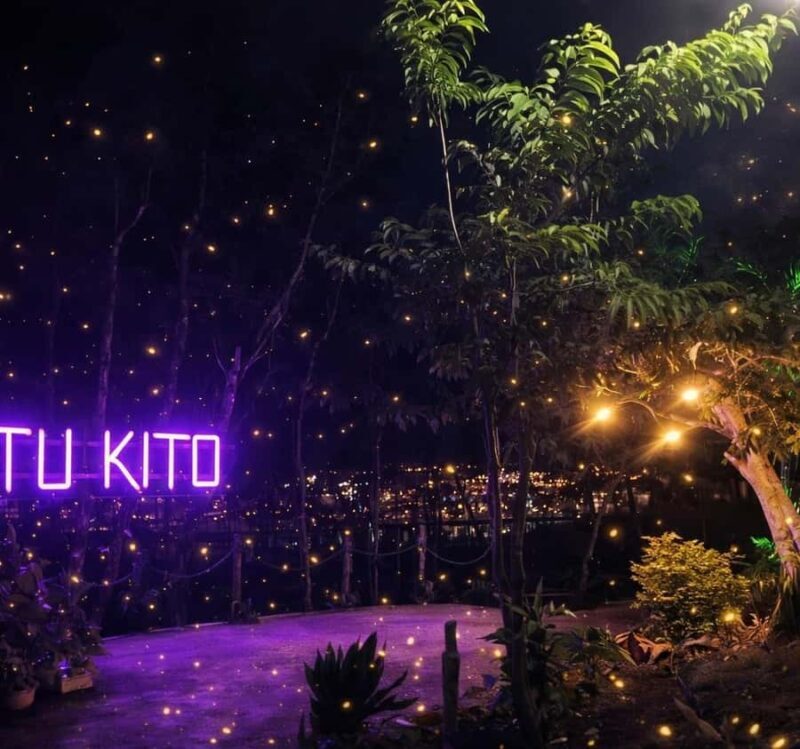 Puerto Princesa: Firefly Watching & Seasonal Plankton Tour - Key Points