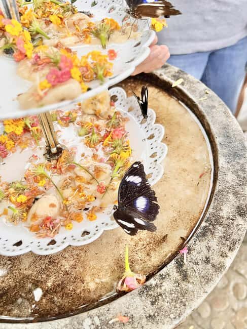 Puerto Princesa: Half Day City Tour with Butterfly Garden - Key Points