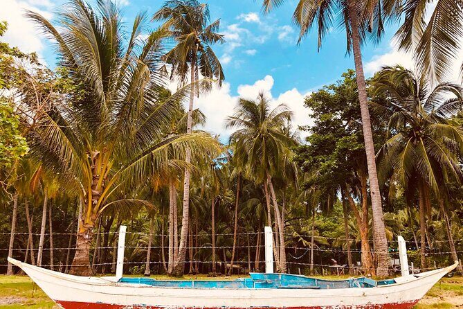 Puerto Princesa Honda Bay Island Hopping Shore Excursion - How This Tour Compares to Other Experiences