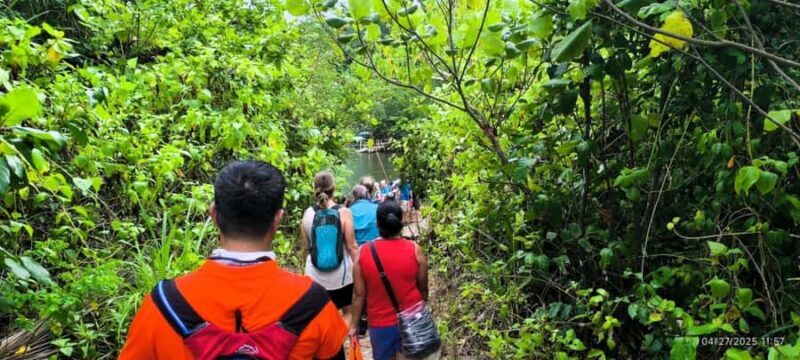 Puerto Princesa: Jungle Trail Trek to the Underground River - What Travelers Say
