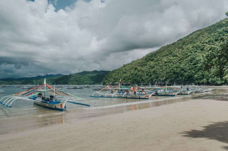 Puerto Princesa: Private Underground River and Cowrie Tour - What Travelers Love Most