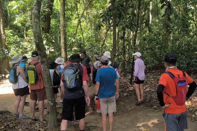 Puerto Princesa Underground River Guided Trekking Tour - The Practicalities: What You Need to Know