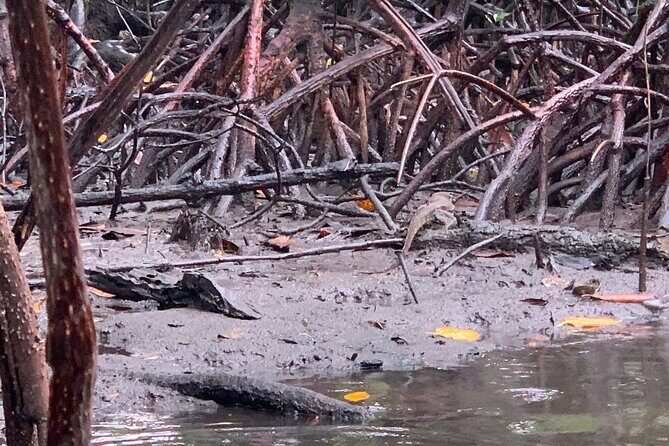 Puerto Princesa Underground River Guided Trekking Tour - The Sum Up: Who Will Love This Tour?