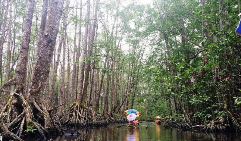 Puerto Princesa: Underground River, Zipline, Paddleboat Tour - Final Words