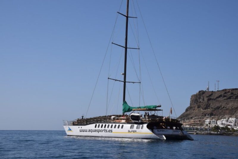 Puerto Rico : 2 hour Dolphin Catamaran Excursion - Key Points