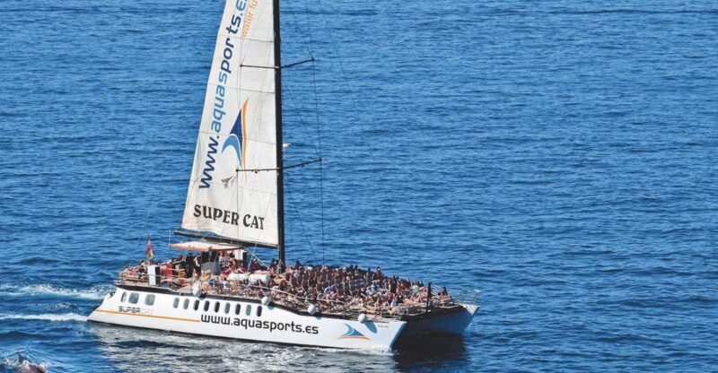 Puerto Rico : 2 hour Dolphin Catamaran Excursion - An Honest Look at the Experience
