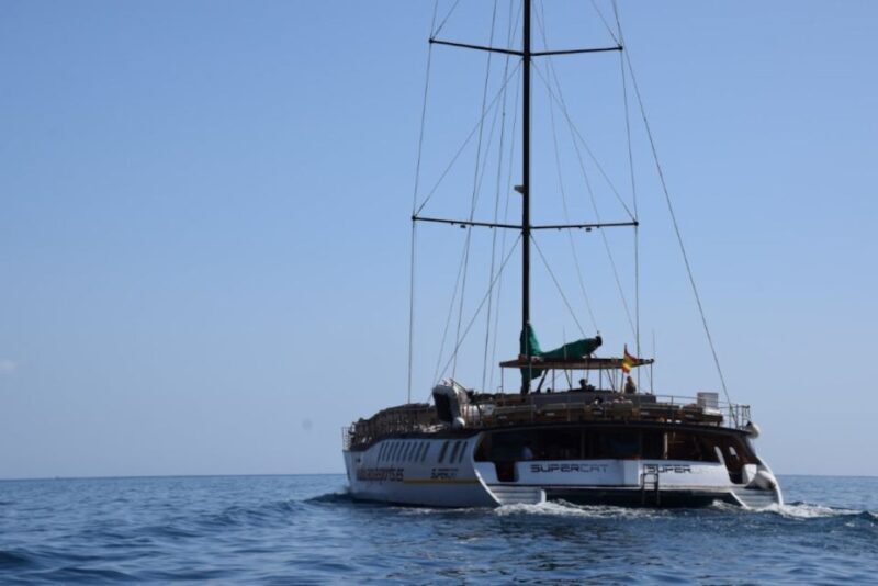 Puerto Rico : 2 hour Dolphin Catamaran Excursion - Pricing and Value