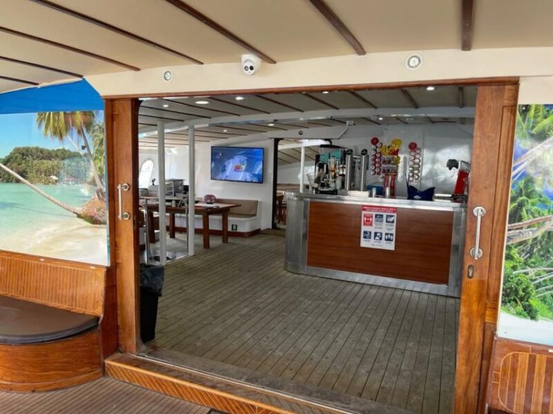 Puerto Rico : 2 hour Dolphin Catamaran Excursion - Who Should Consider This Tour?