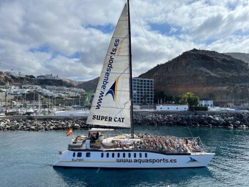 Puerto Rico : 2 hour Dolphin Catamaran Excursion - The Sum Up: A Relaxing Marine Encounter
