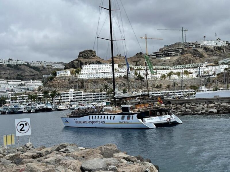 Puerto Rico : 2 hour Dolphin Catamaran Excursion - Frequently Asked Questions