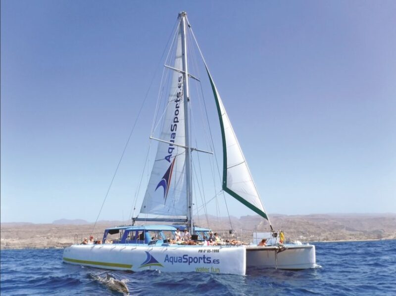 Puerto Rico: 4-Hour Catamaran Excursion in the South - Who Will Enjoy This Tour?