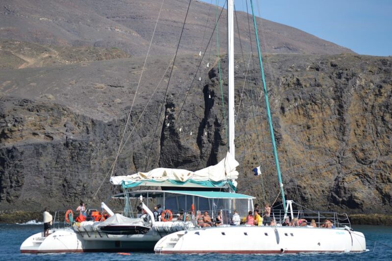 Puerto Rico: 4-Hour Catamaran Excursion in the South - The Sum Up
