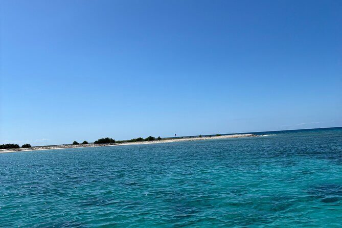 Puerto Rico: Bio Bay Swim and Sunset Charter or Late night tour - Who Will Love This Experience?