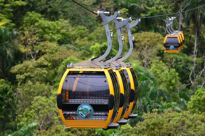 Puerto Rico Cable Car and Bird Sanctuary Tour - Key Points