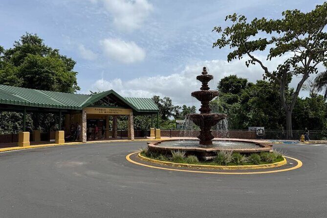 Puerto Rico Cable Car and Bird Sanctuary Tour - The Sum Up