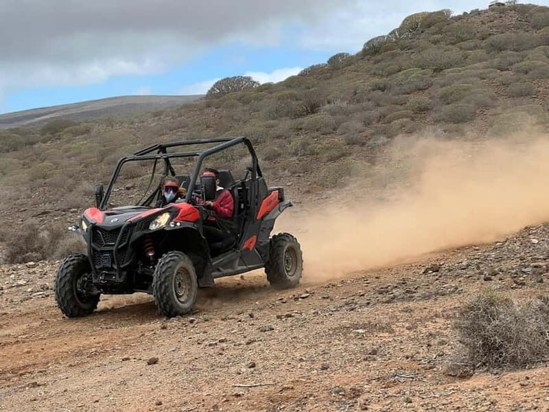 Puerto Rico de Gran Canaria: Offroad Buggy Tour - Who Will Love This Tour?