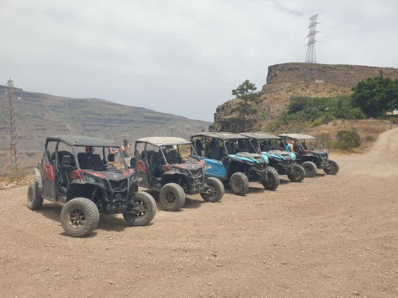 Puerto Rico de Gran Canaria: Offroad Buggy Tour - Final Thoughts on the Buggy Experience