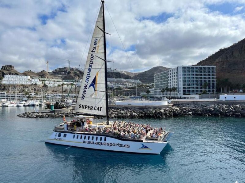 Puerto Rico de Gran Canaria: Premium Dolphin Catamaran Tour - FAQ