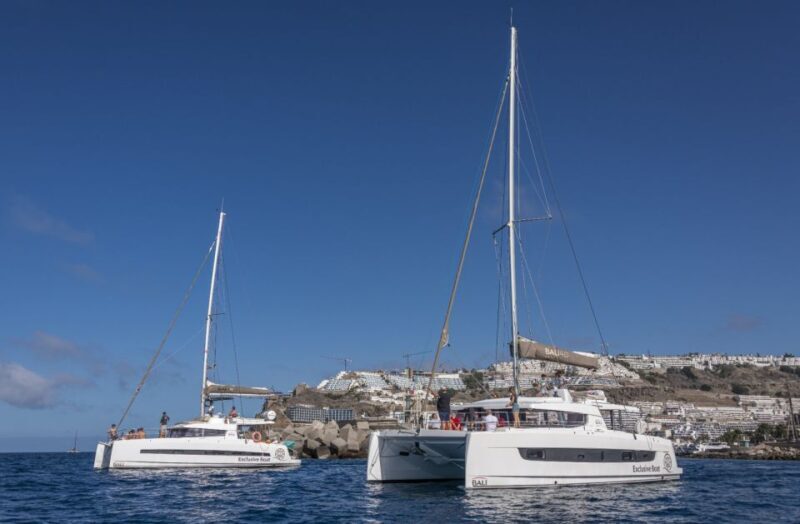 Puerto Rico de Gran Canaria: Private Catamaran Charter - A Closer Look at the Private Catamaran Experience