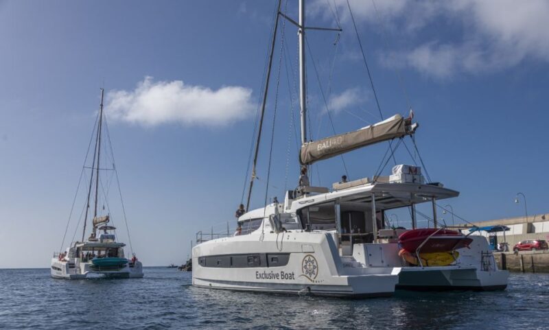 Puerto Rico de Gran Canaria: Private Catamaran Charter - Who Will Love This Tour?