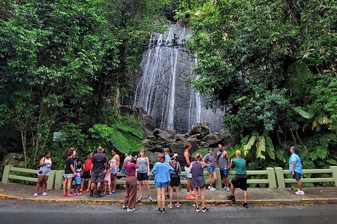 Puerto Rico: El Yunque Sightseeing Half-Day Tour w/Transfer - Exploring El Yunque: The Heart of Puerto Rico’s Natural Beauty