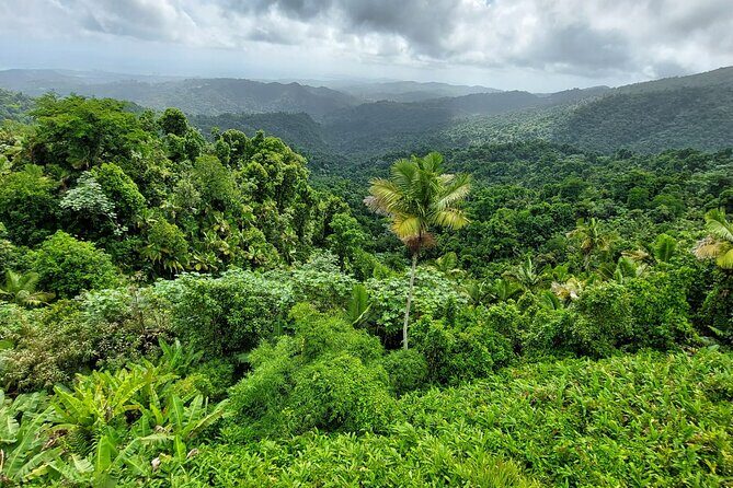 Puerto Rico: El Yunque Sightseeing Half-Day Tour w/Transfer - Final Word