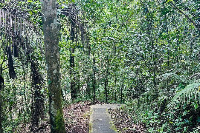 Puerto Rico Hiking Adventure Nature History and Coastal Views - Frequently Asked Questions