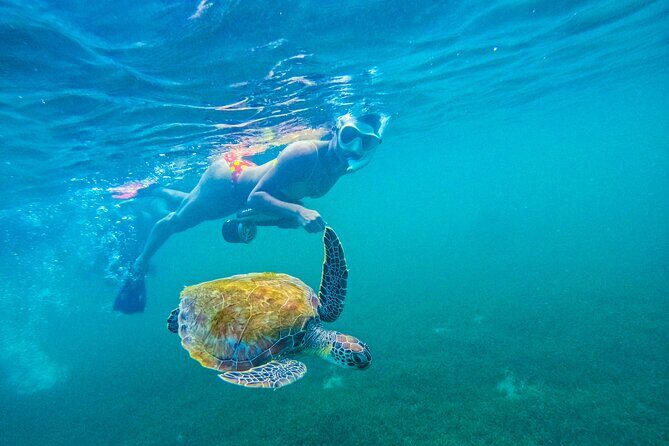 Puerto Rico Jet Snorkel with Turtles and Videos in San Juan - Gear Fitting and Safety Briefing