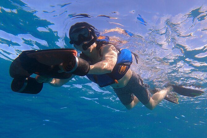 Puerto Rico Jet Snorkel with Turtles and Videos in San Juan - Wildlife Encounters