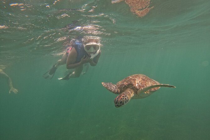 Puerto Rico Jet Snorkel with Turtles and Videos in San Juan - Cost and Value