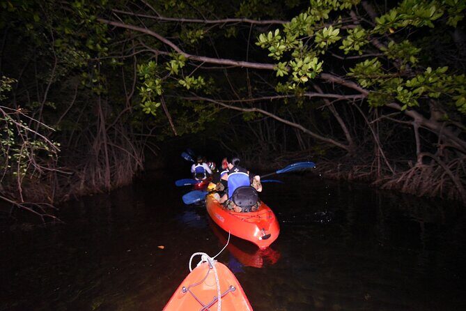 Puerto Rico Sunset Magic: Bio Bay Kayaking Tour from Fajardo - Practical Tips for Your Trip