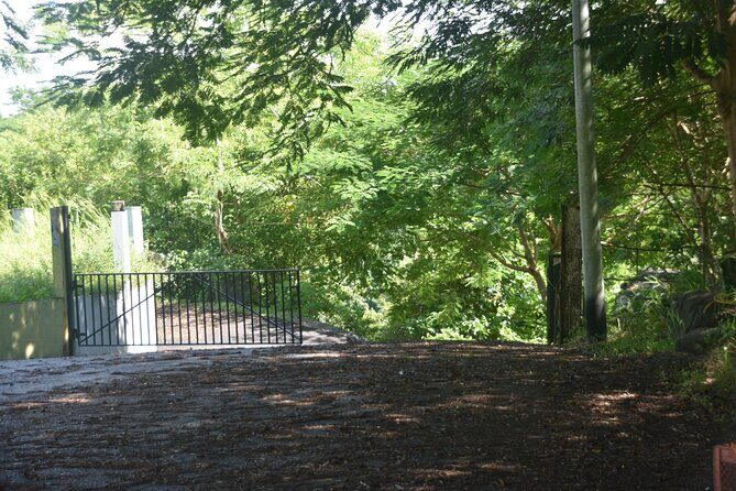 Puerto Rico Waterfall Hiking Tour: Discover Hidden Gems 2.0 - A Deep Dive into the Experience