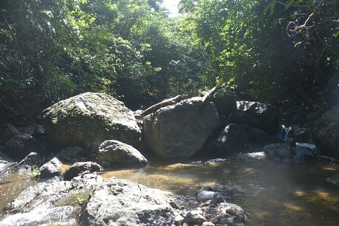 Puerto Rico Waterfall Hiking Tour: Discover Hidden Gems 2.0 - The Sum Up