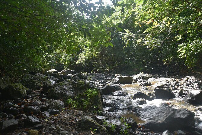 Puerto Rico Waterfall Hiking Tour: Discover Hidden Gems 2.0 - FAQ