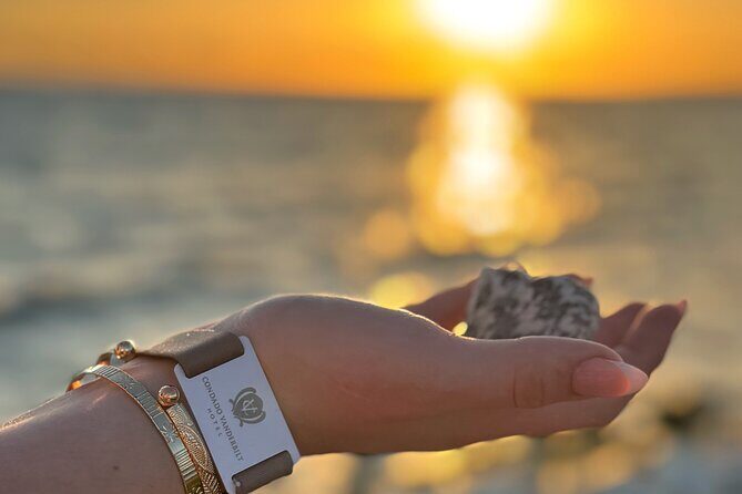 Puerto Rico's Only Private, VIP & Filmed Bio Bay Swim Experience - A Deep Dive into the Experience