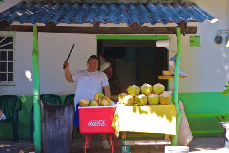 Puerto Vallarta 3-Hour Food Tour of Authentic Local Cuisine - Why Travelers Love This Tour