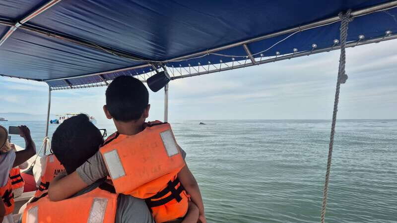 Puerto Vallarta: 3-Hour Whale Watching and Snorkeling - Authentic Experiences from Traveler Feedback