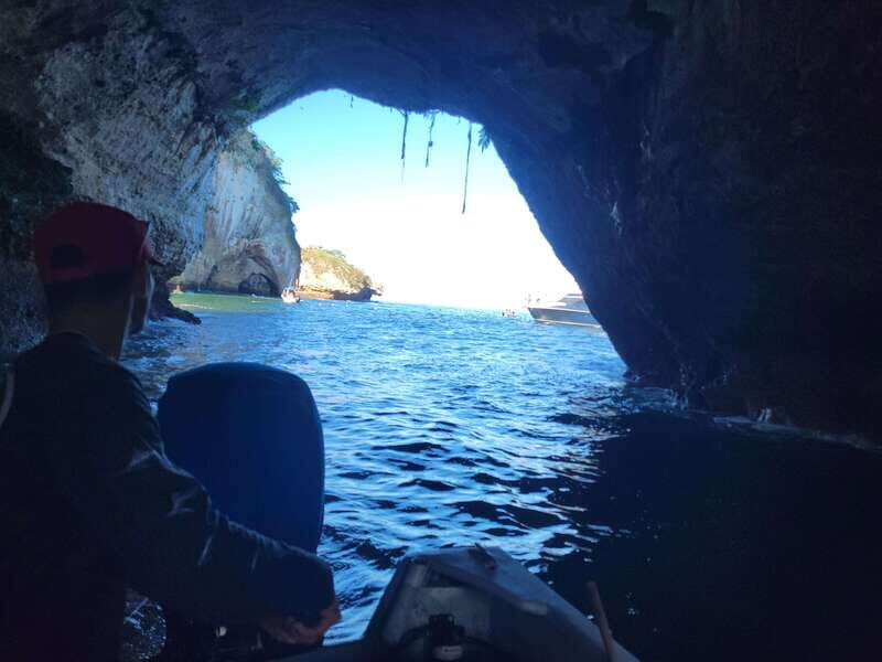Puerto Vallarta: 3-Hour Whale Watching and Snorkeling - In The Sum Up: Is This Tour Worth Your Money?