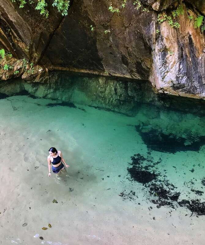Puerto Vallarta: 4-Hour Jungle Hike and Waterfall Swim - An Inviting Introduction to Nature Near Puerto Vallarta