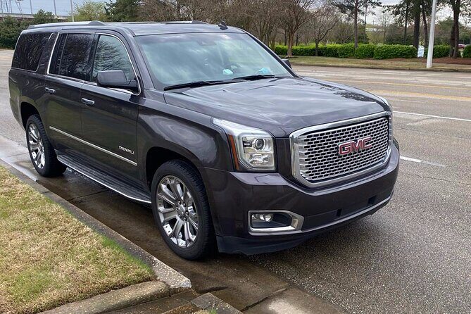 Puerto Vallarta Airport (PVR) to Puerto Vallarta - Arrival Private Transfer - Final Thoughts