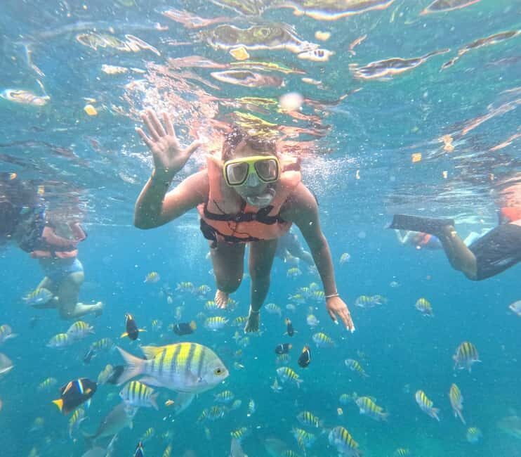 Puerto Vallarta: All-inclusive cruise-ship passenger snorkeling beach and waterfall - Potential Downsides or Considerations