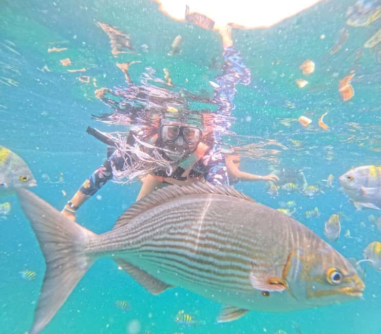 Puerto Vallarta: All-inclusive cruise-ship passenger snorkeling beach and waterfall - FAQ