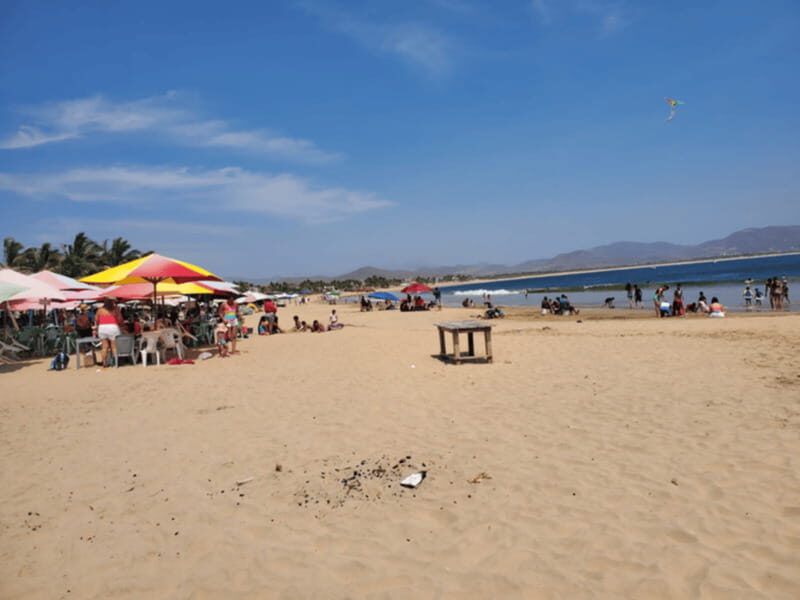 Puerto Vallarta: Beach Tour Experience - Key Points