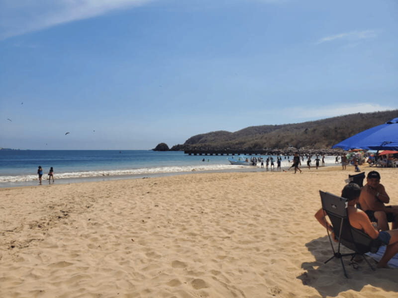 Puerto Vallarta: Beach Tour Experience - Introduction and Overview