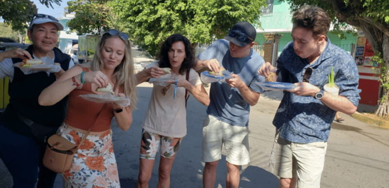Puerto Vallarta: Beach Tour Experience - Experience Quality and What Visitors Say