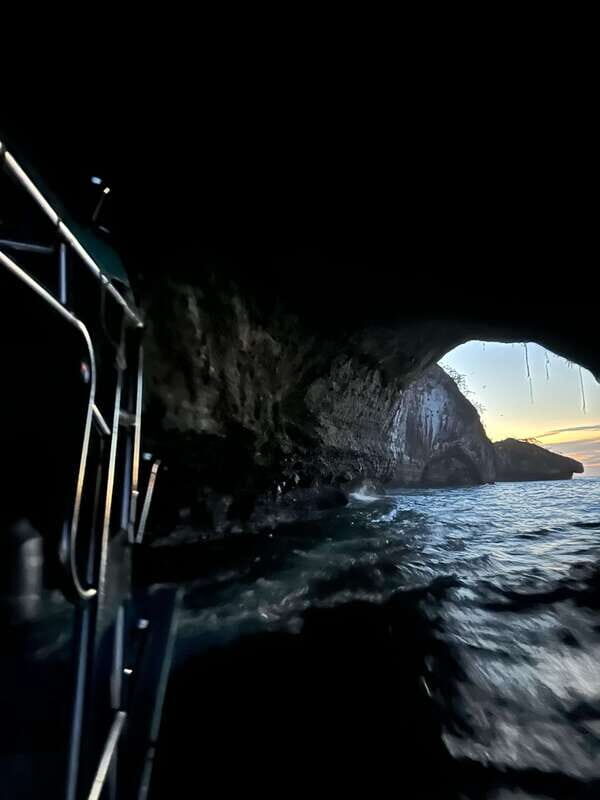 Puerto Vallarta: Bioluminescence in Los Arcos Marine Park - Introduction: Why This Tour Is Truly Unique