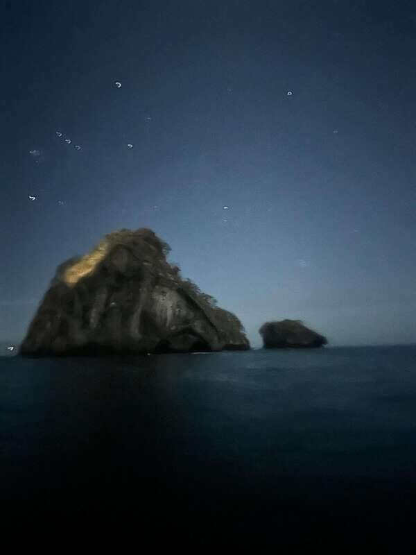 Puerto Vallarta: Bioluminescence in Los Arcos Marine Park - What to Expect: Practical Details
